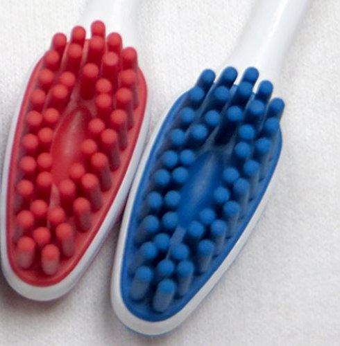 Kosher Innovations Shabbos Toothbrush - Kosher for Year Round ...