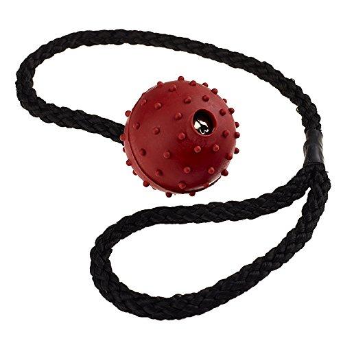 Classic Pet Products Pimple Ball on a Rope 50 mm Red | Buy Now with ...