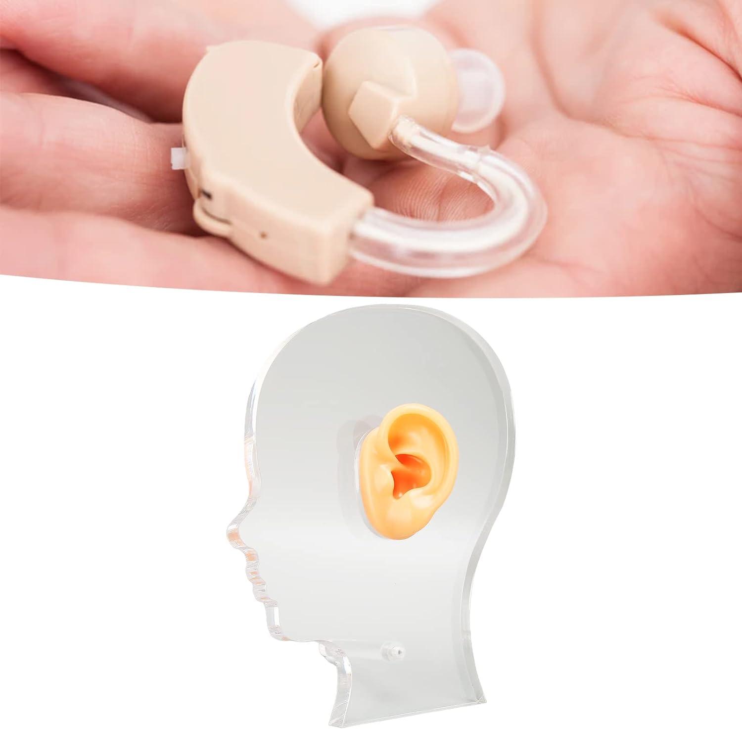 Flexible Silicone Ear Display Model with Acrylic Stand - Hospital Grade ...
