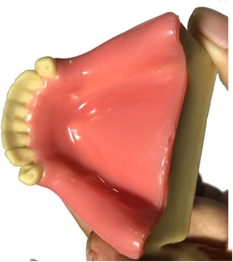 Ernzi Dental Implant Practice Model - Mandibular Missing Teeth ...