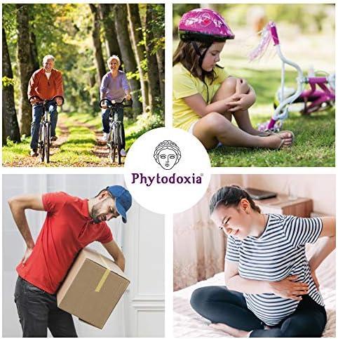 Physio Gel 2.5 fl oz - Arnica Natural Gel for Back, Muscle, Neck, and ...