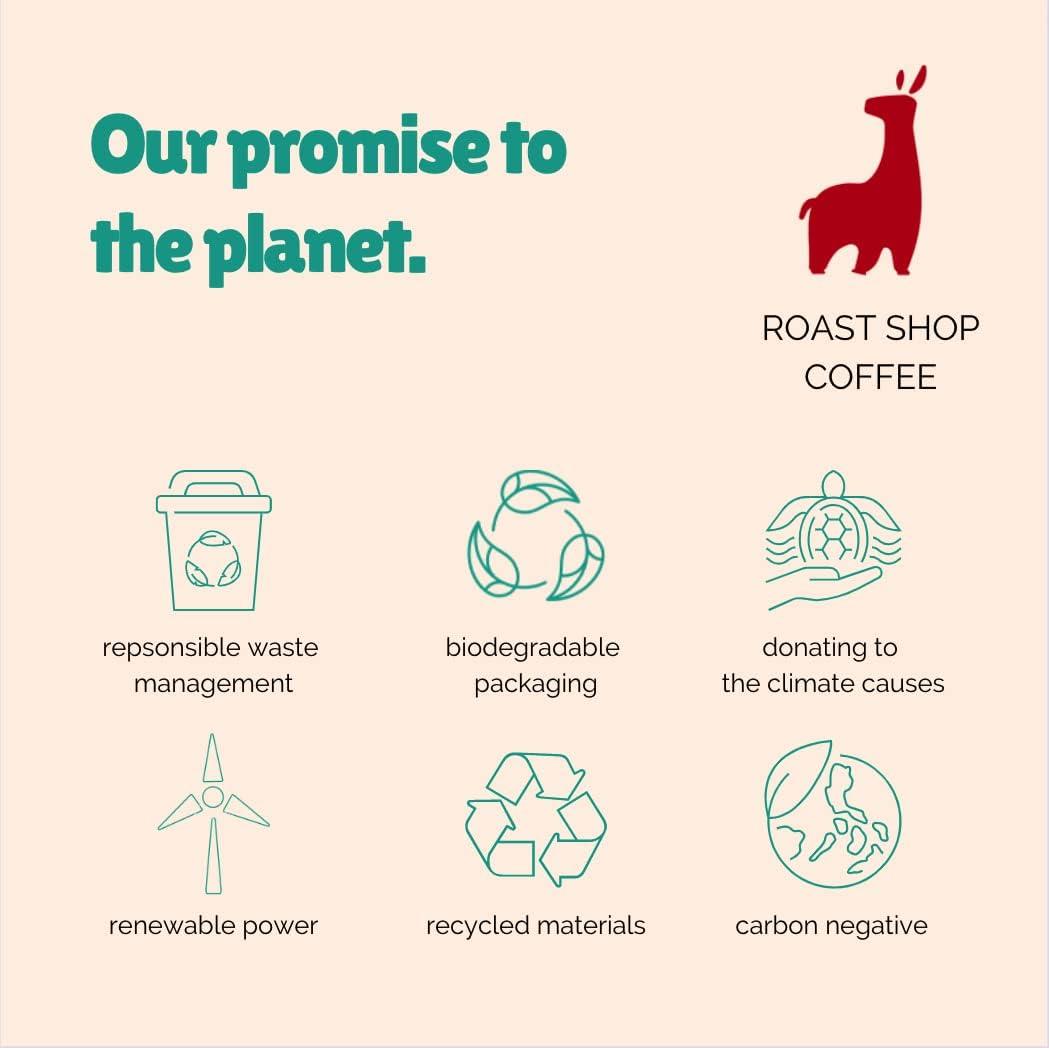 Small Batch Roasted Climate Positive Coffee Beans 1kg Honduras ...