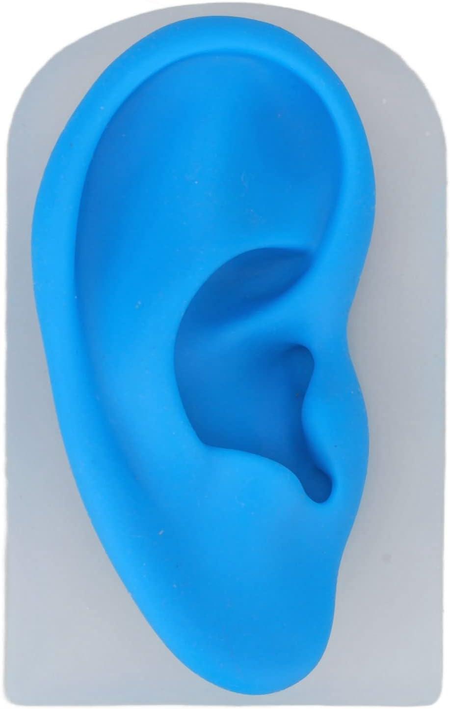Vivid Waterproof Professional Soft Ear Model - Ideal for Hearing ...