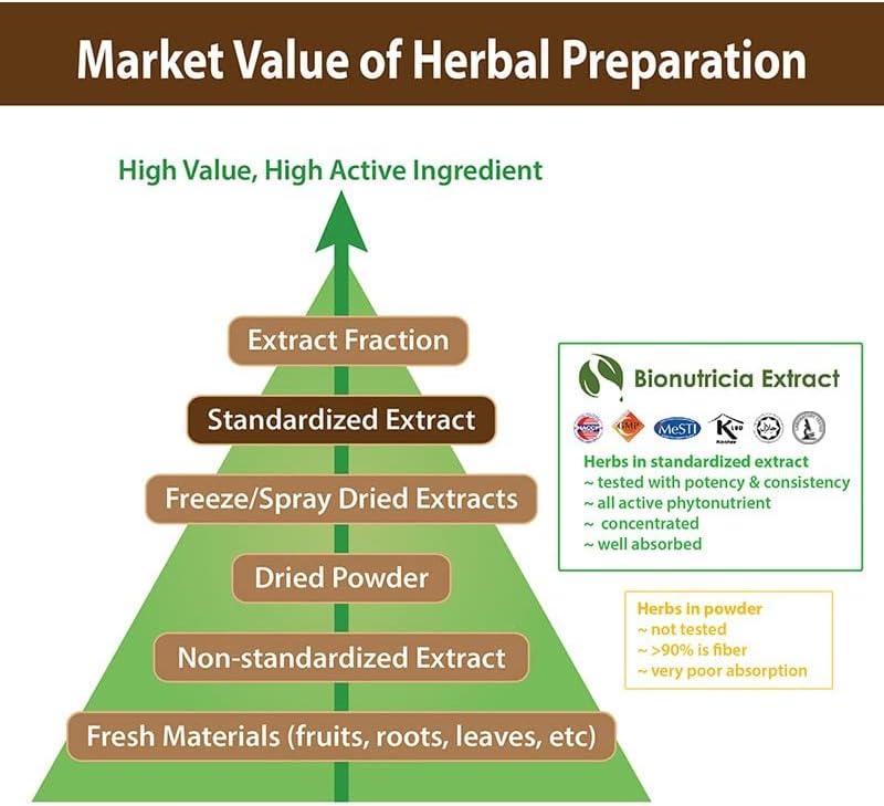 7x Jackfruit (Artocarpus heterophyllus) Standardized Extract Powder ...