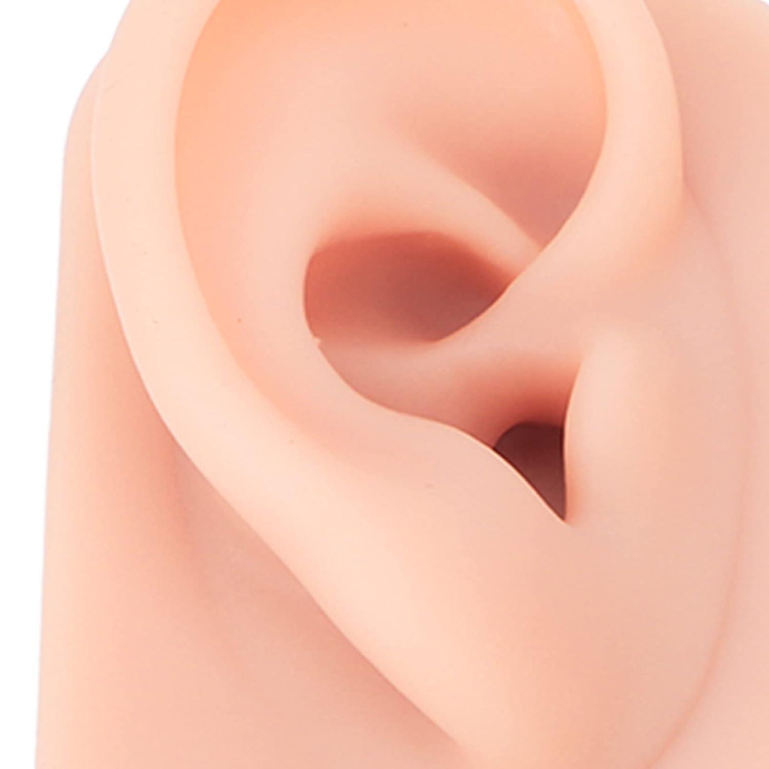 Silicone Ear Model Pair - Human Ear Display Teaching Aid - Fake Ear Practice Piercings Tools ...