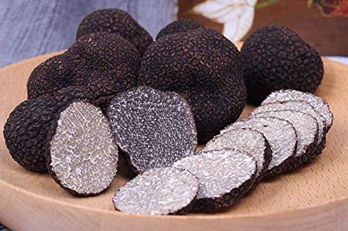 Dried Black Truffles Sliced 1oz - Premium Grade | Exquisite Flavor and ...