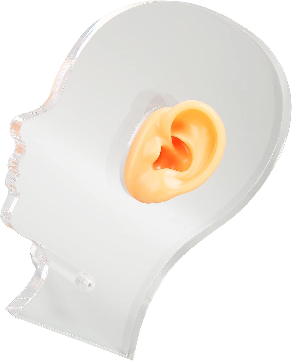 Ear Display Mould Flexible Silicone Waterproof Ear Model Simulation ...