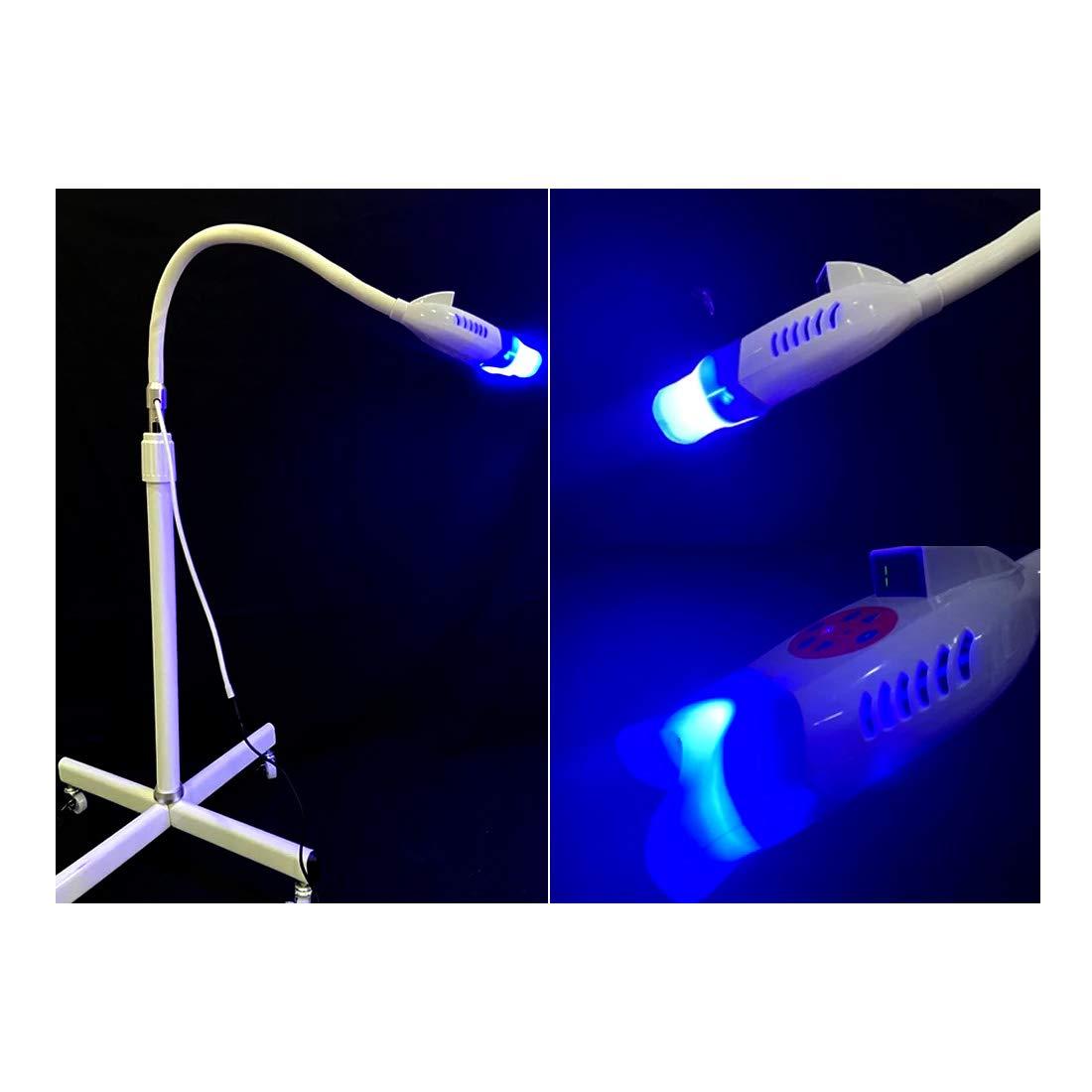 Lolicute Dental Teeth Whitening Lamp | LED Accelerator for Mobile ...