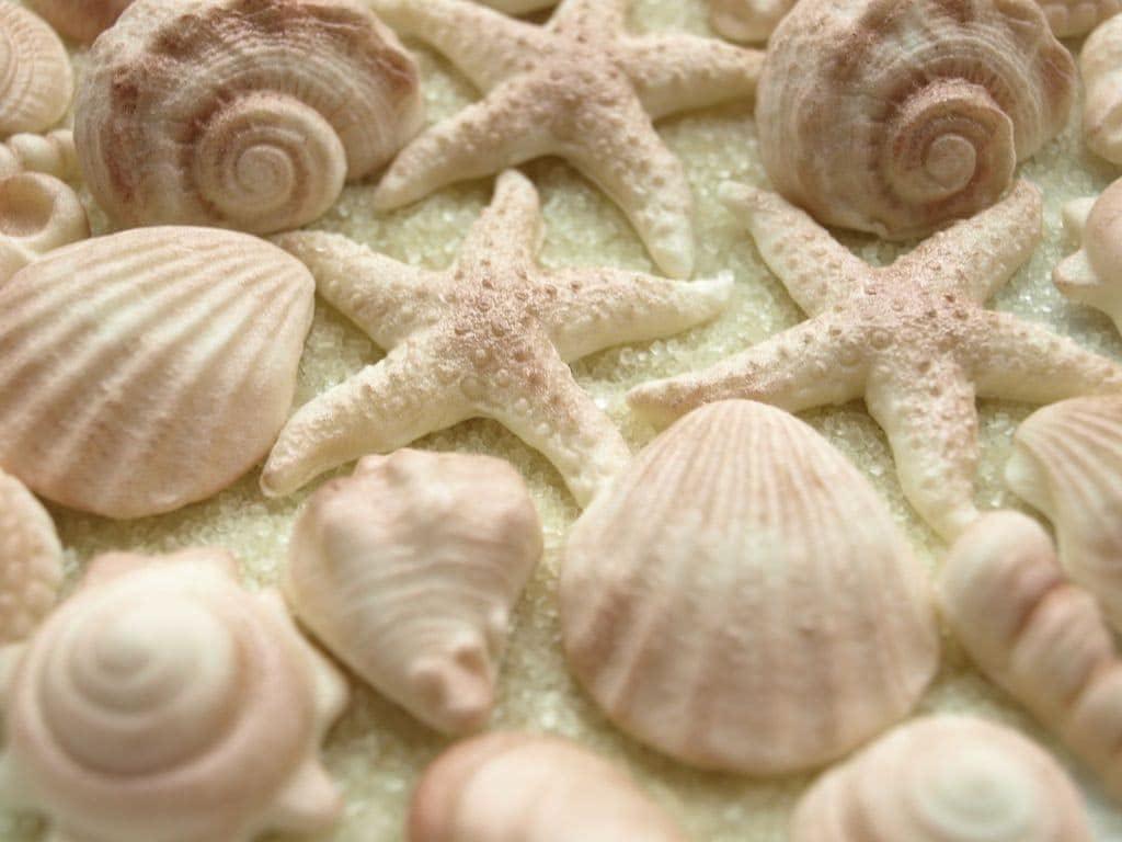 Rainbow Cake Toppers 24x Edible Sea Shells Cupcake Decorations Mermaid ...