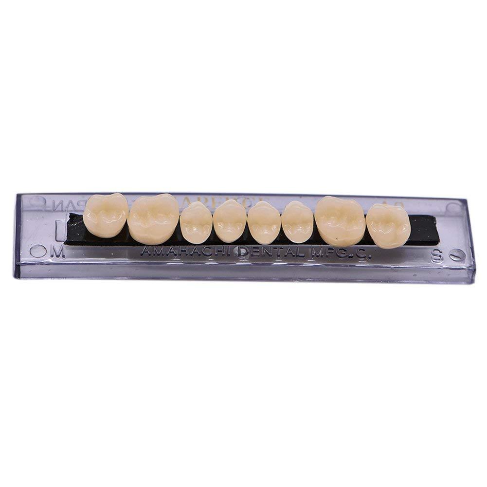 168 Pcs Dental Synthetic Resin Teeth Denture Set for Halloween - Horror ...