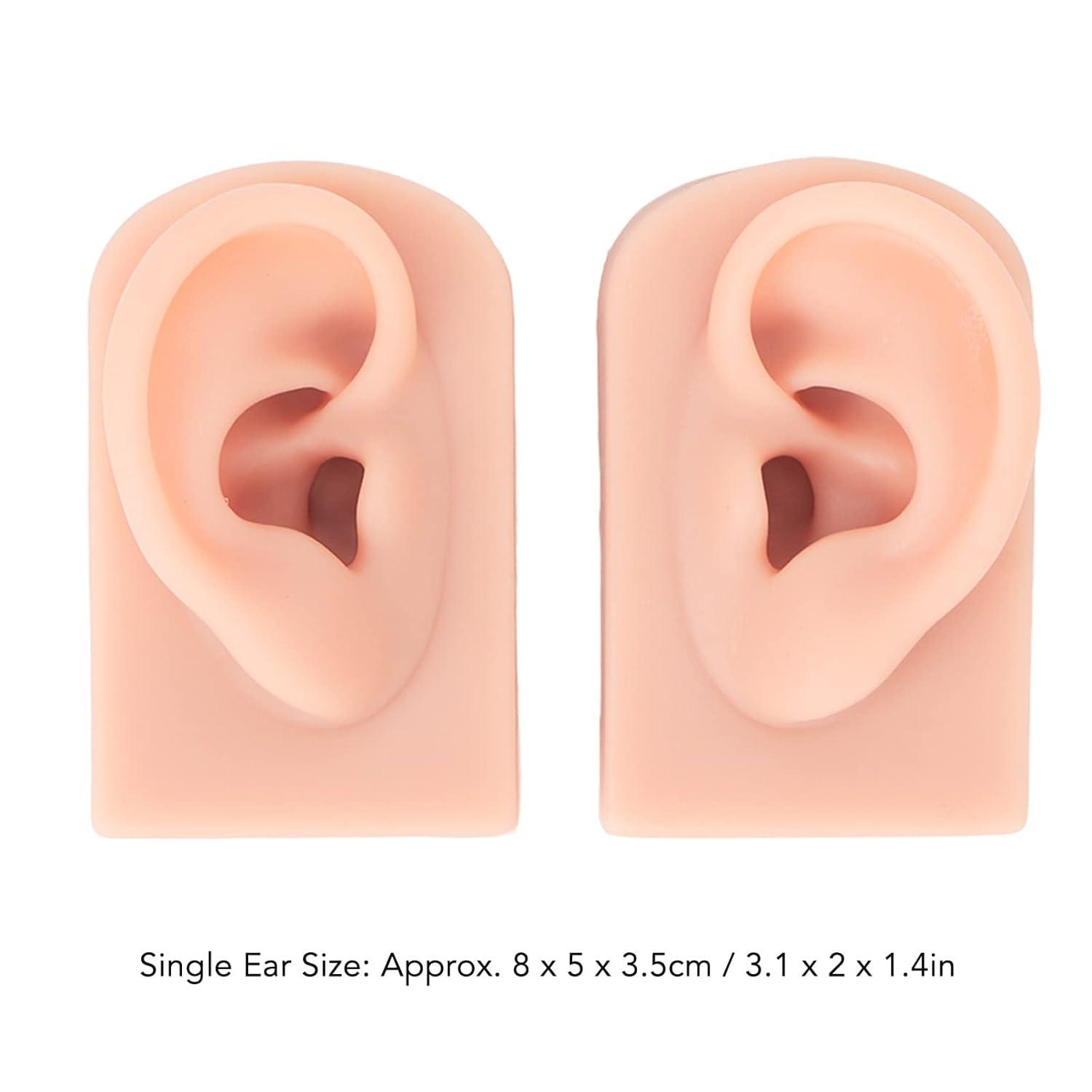 Silicone Ear Model Pair - Human Ear Display Teaching Aid - Fake Ear Practice Piercings Tools ...