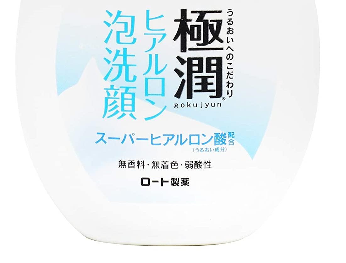 Hada Labo Rohto Gokujyn Hyaluronic Acid Cleansing Foam 160ml - Gentle ...