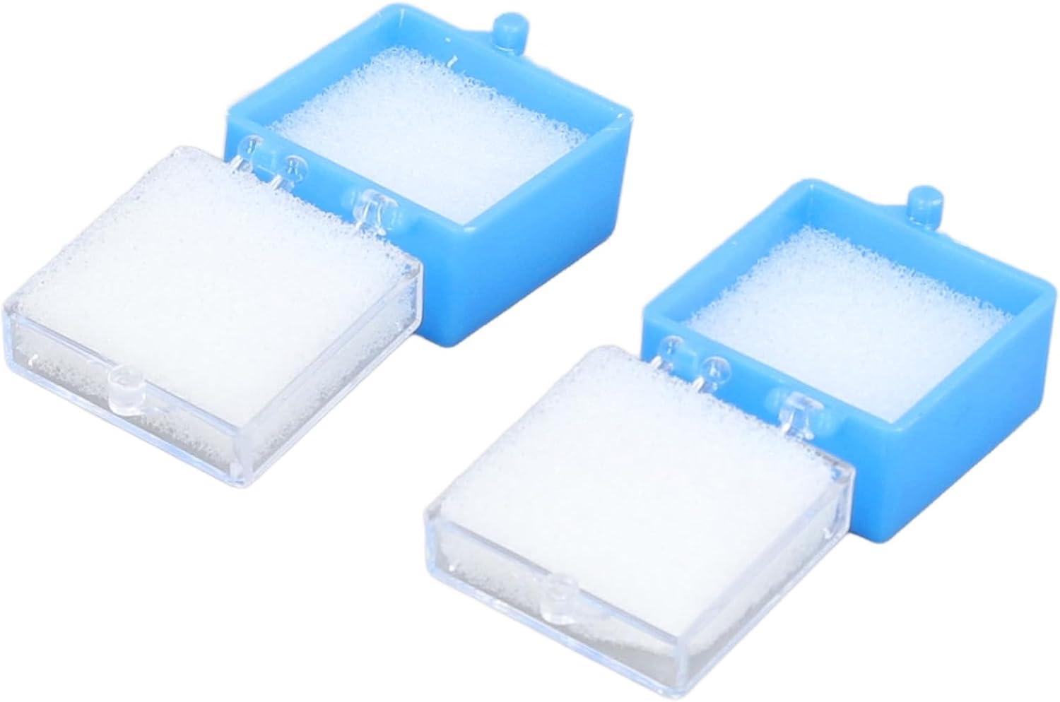 20 Tooth Crown Boxes with Foam - Plastic Tooth Bridge Kit for Dental ...
