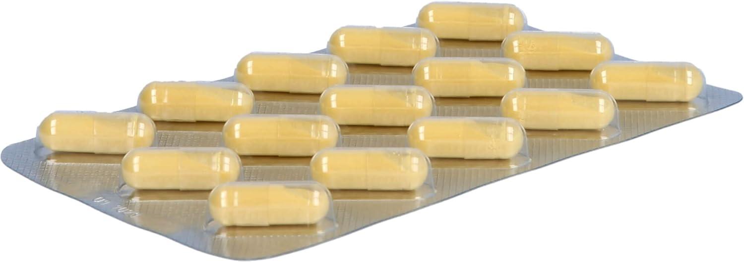 Salus Vitamin B Complex Vegetable Capsules - 60 pcs | Premium Energy ...