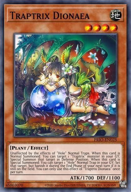 Yu-Gi-Oh! TCG Beware of Traptrix Structure Deck - Strategy, Traps, and ...