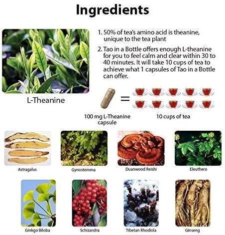 Dragon Herbs Tao in a Bottle 450mg | 60 Capsules - Natural Herbal ...