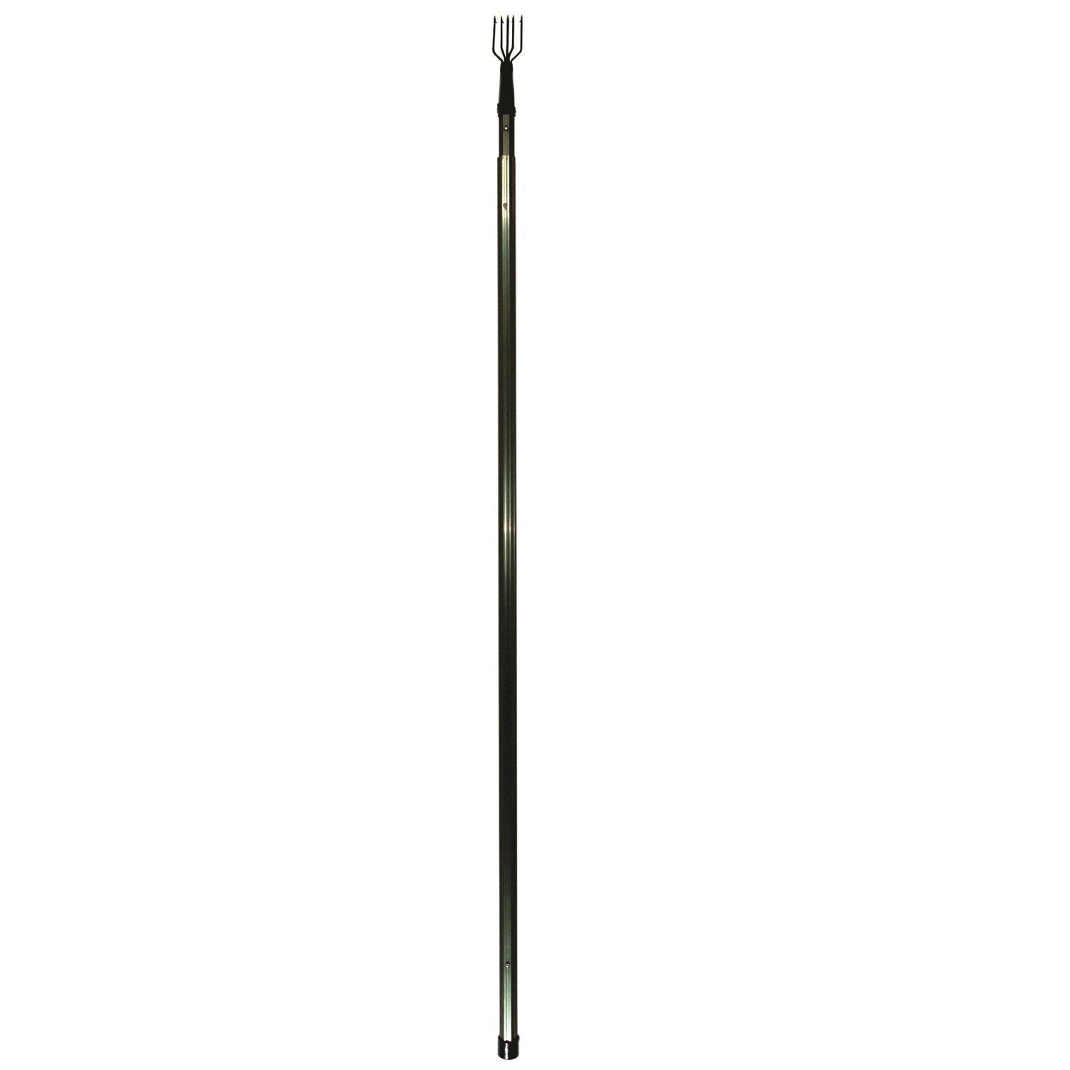 Danielson Quick Release Frog Spear with Telescoping Handle | Buy Now ...