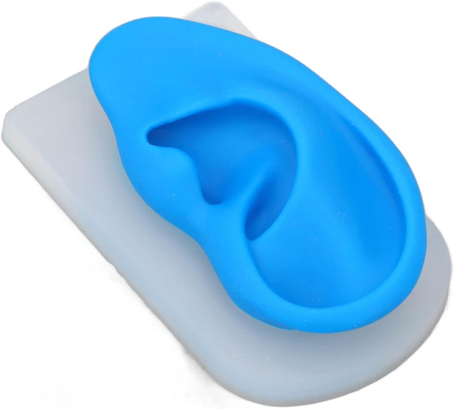 Silicone Simulated Ear Model for Hearing Amplifier Display ...