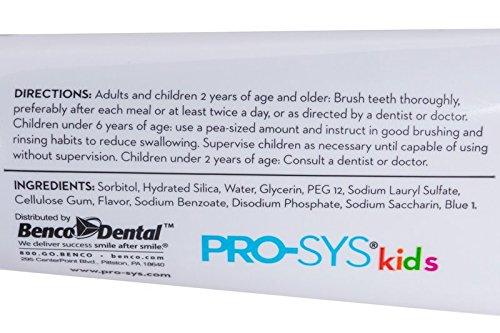 PRO-SYS Kids Fluoride-Free Toothpaste | ADA Accepted Berry Flavor ...
