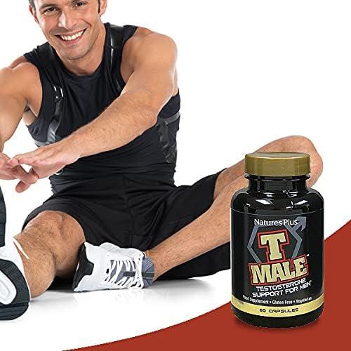 NaturesPlus T-Male Capsules - Herbal Complex with Zinc for Men's Energy ...