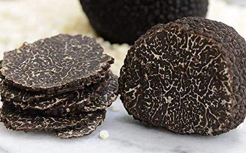 Dried Black Truffles - Premium Grade (1oz) Sliced | Shop Now | Buy Now ...