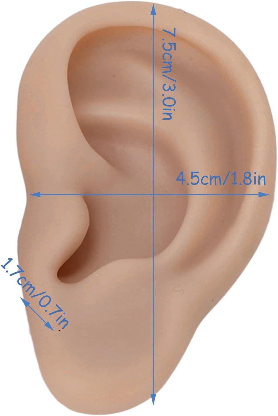 Silicone Flexible Ear Model - Dark Skin Color | Soft & Realistic Human ...
