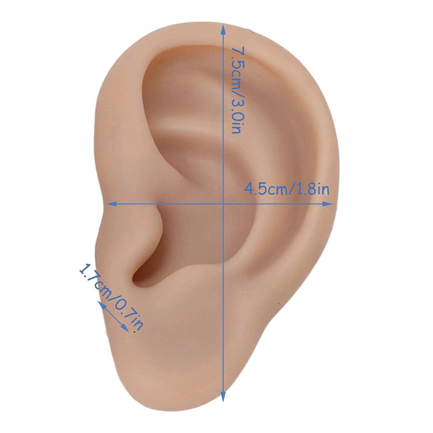 Silicone Flexible Human Ear Model - Dark Skin Color | Buy Now with ...