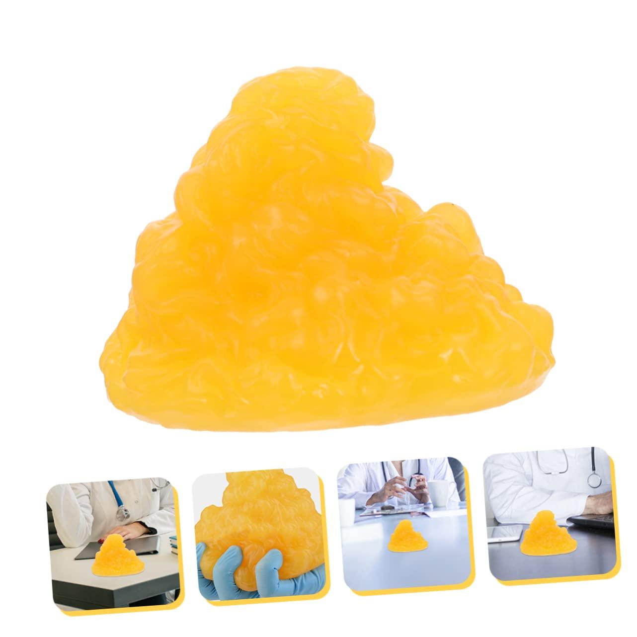 OUNONA 2pcs Fat Model Fat 1lb Human Body 1-Pound Fat Replica Body Fat ...