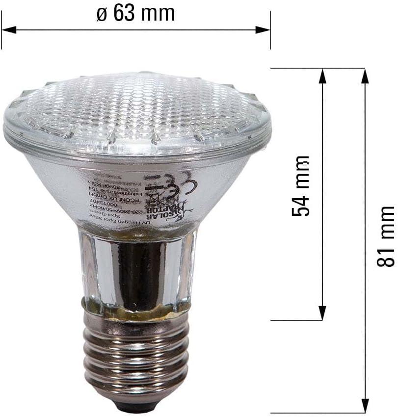 Buy Solar Raptor UV Halogen Spot 35W | Reptile Heat Lamp & Terrarium ...
