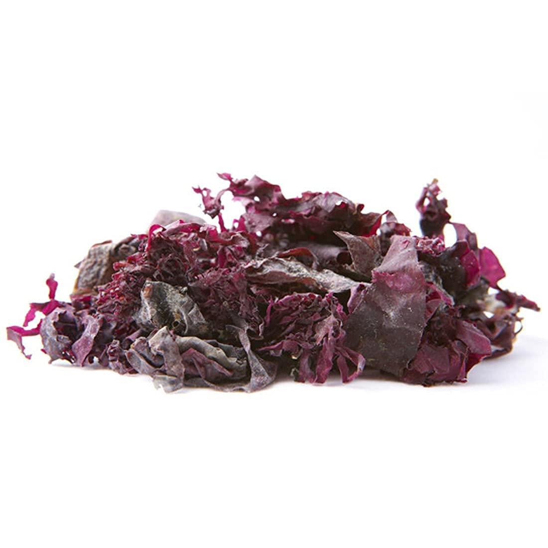 Buy Organic Dulse Bio Atlantic Algae Leaves - Vegan Umami Snack ...
