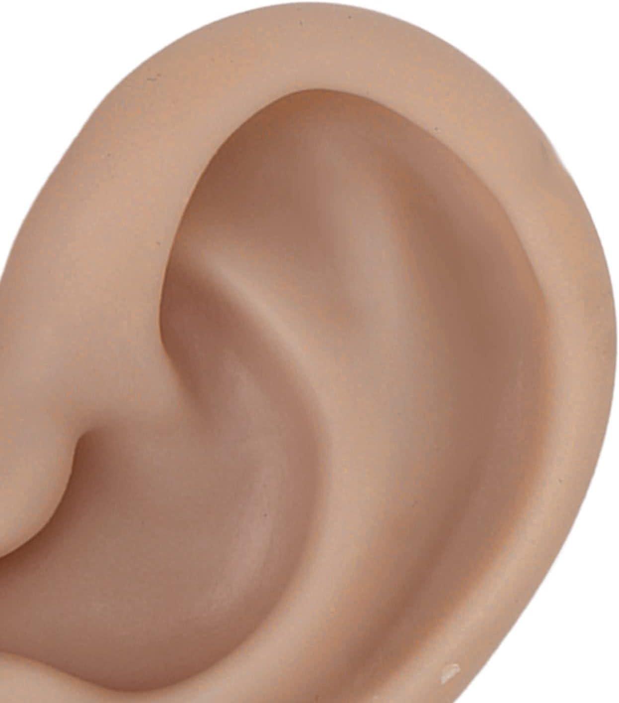 Silicone Flexible Ear Model - Dark Skin Color | Soft & Realistic Human ...