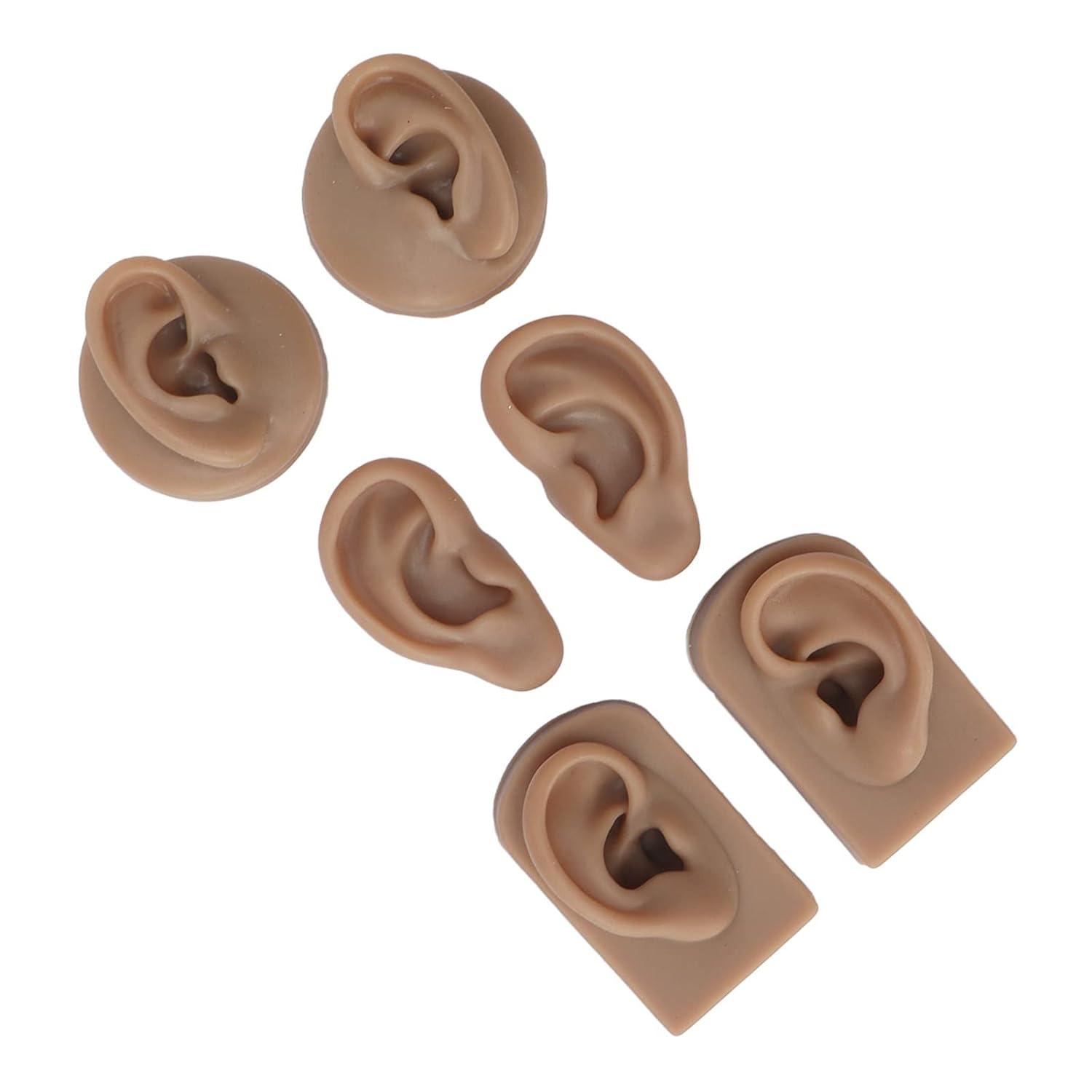 Silicone Human Ear Model - Reusable 3 (Deep Skin Color) | Buy Now with ...