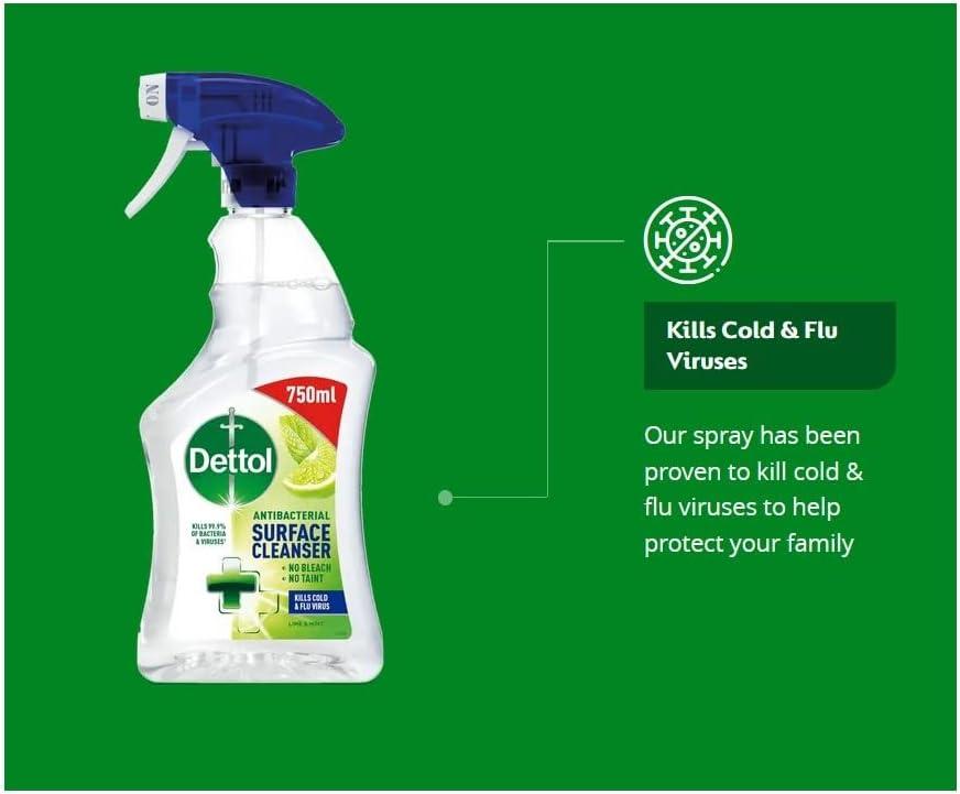 Dettol Antibacterial Surface Cleaning Spray 750ml - Lime and Mint ...