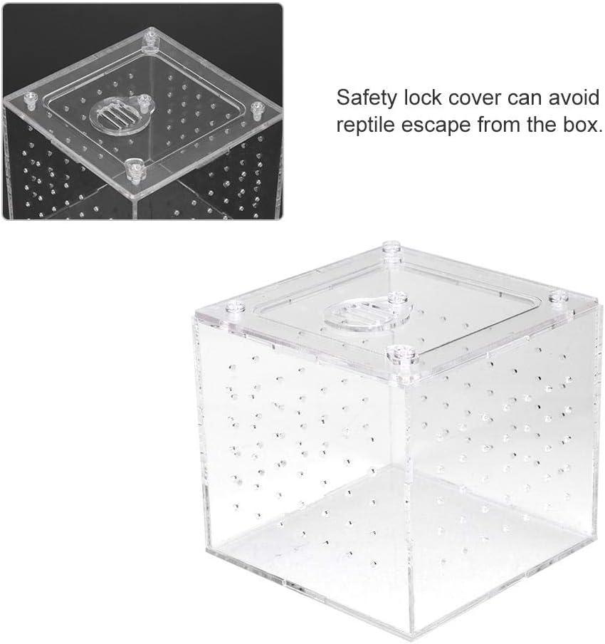 Acrylic Reptile Breeding Box Transparent Live Food Storage Insect ...