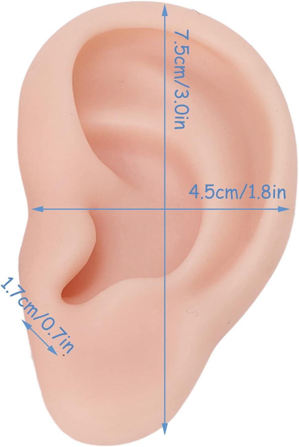 Silicone Human Ear Model Realistic Practice Experience Easy Use Soft ...