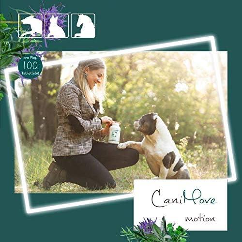 Canimove Motion Maxi Dreiererpack - 300 Tablets for Large Dogs | Joint ...