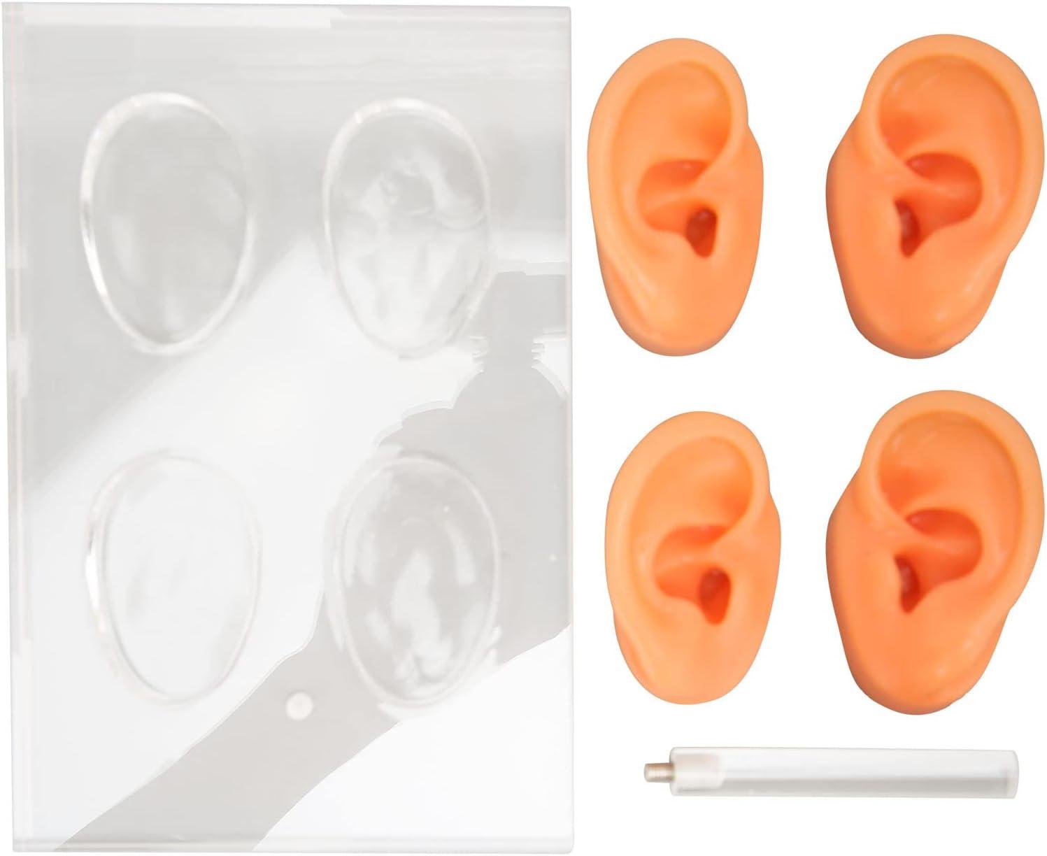 Ear Display Model - Realistic Human Ear Replica with Waterproof Skin ...