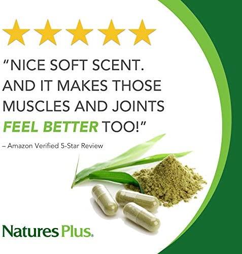 Nature's Plus Rx-Joint Cream 4 oz - Glucosamine Chondroitin MSM for ...