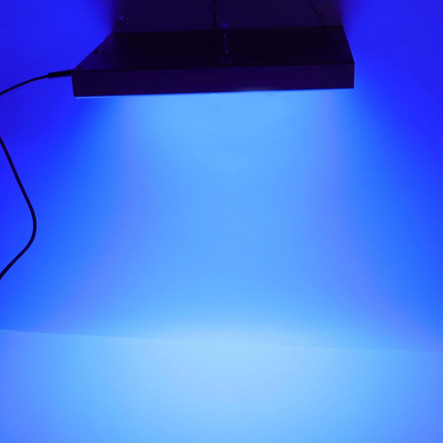 Blue Light Therapy Tanning Lamp with 225 LEDs | Full Body & Face ...