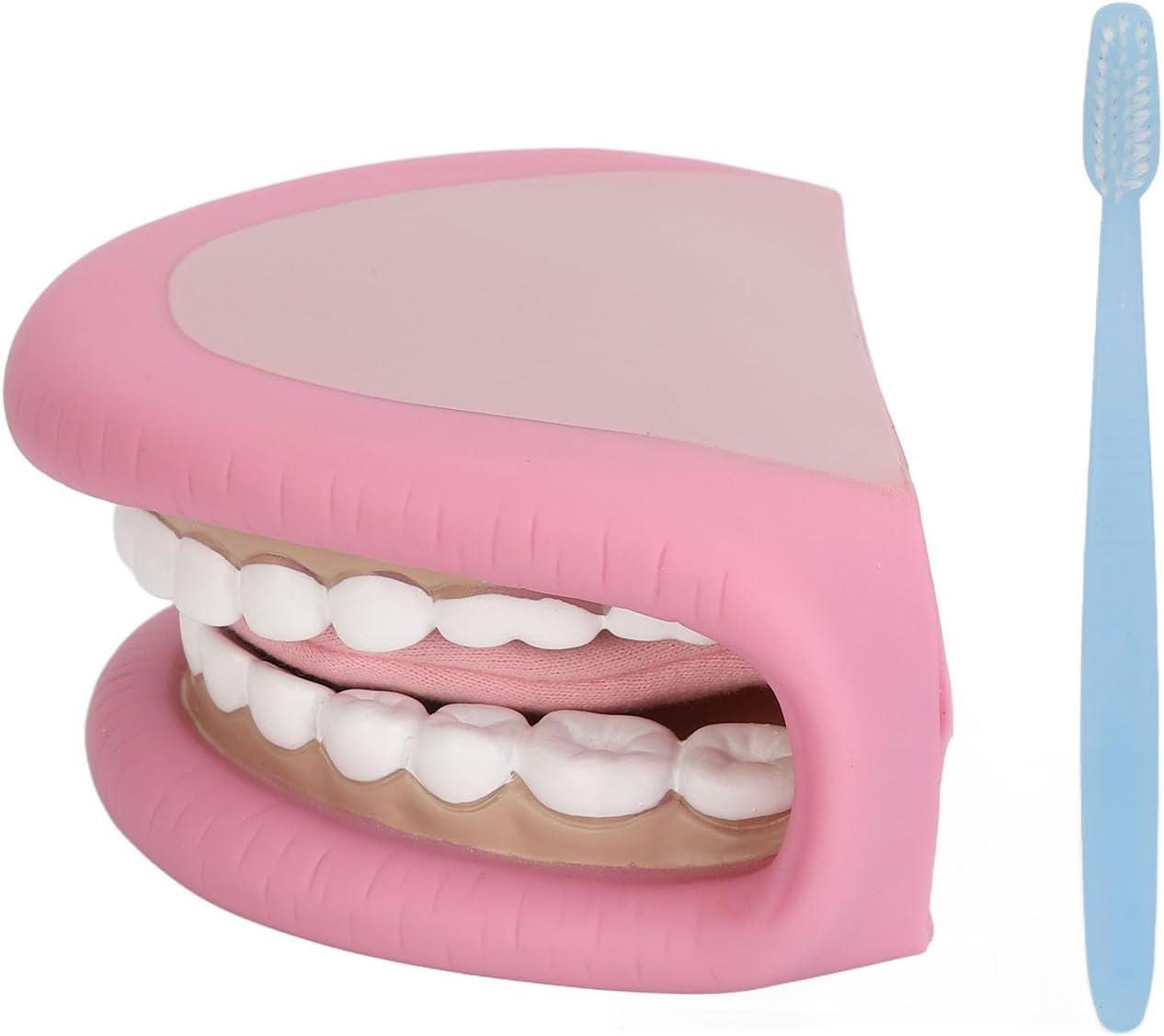 28 Teeth Mouth Hand Puppet for Speech Improvement & Tooth Brushing ...