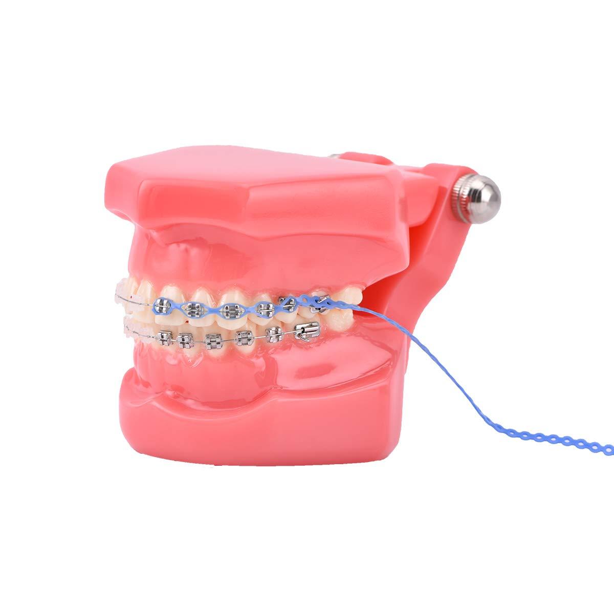 Teeth Power Chains Spool - Elastic Brace Rubber Bands for Orthodontic ...