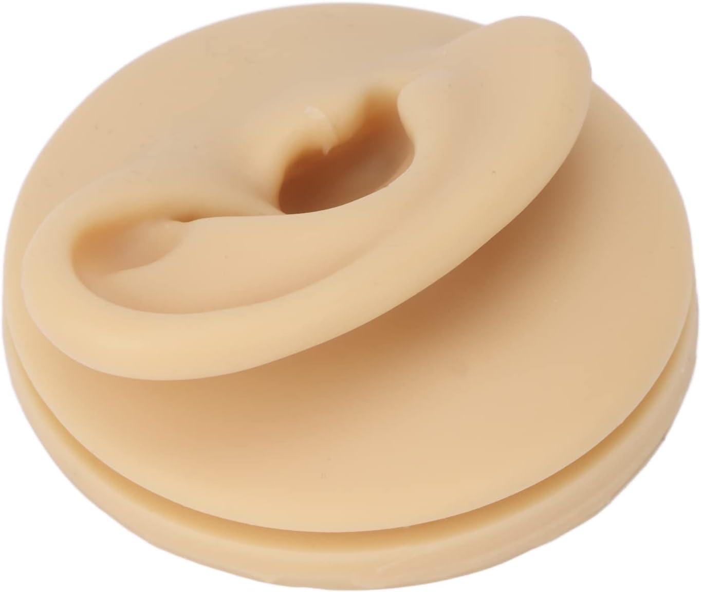 Human Ear Model Waterproof Clear Internal External Structure Right Ear ...