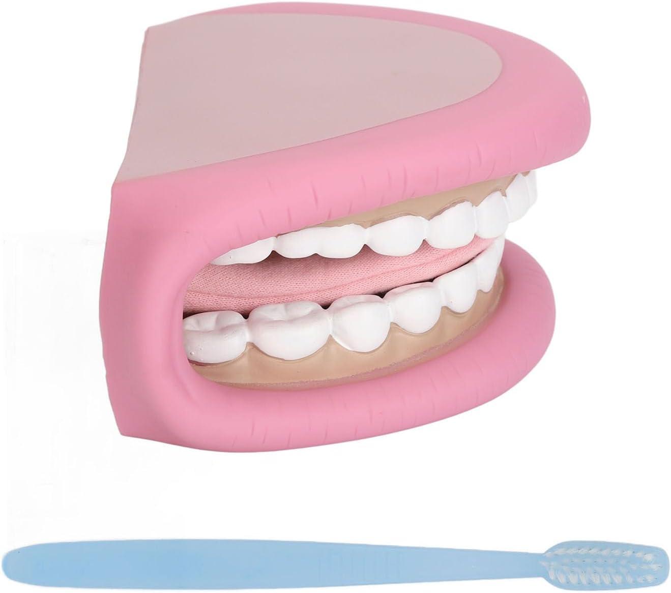 28 Teeth Mouth Hand Puppet for Speech Improvement & Tooth Brushing ...