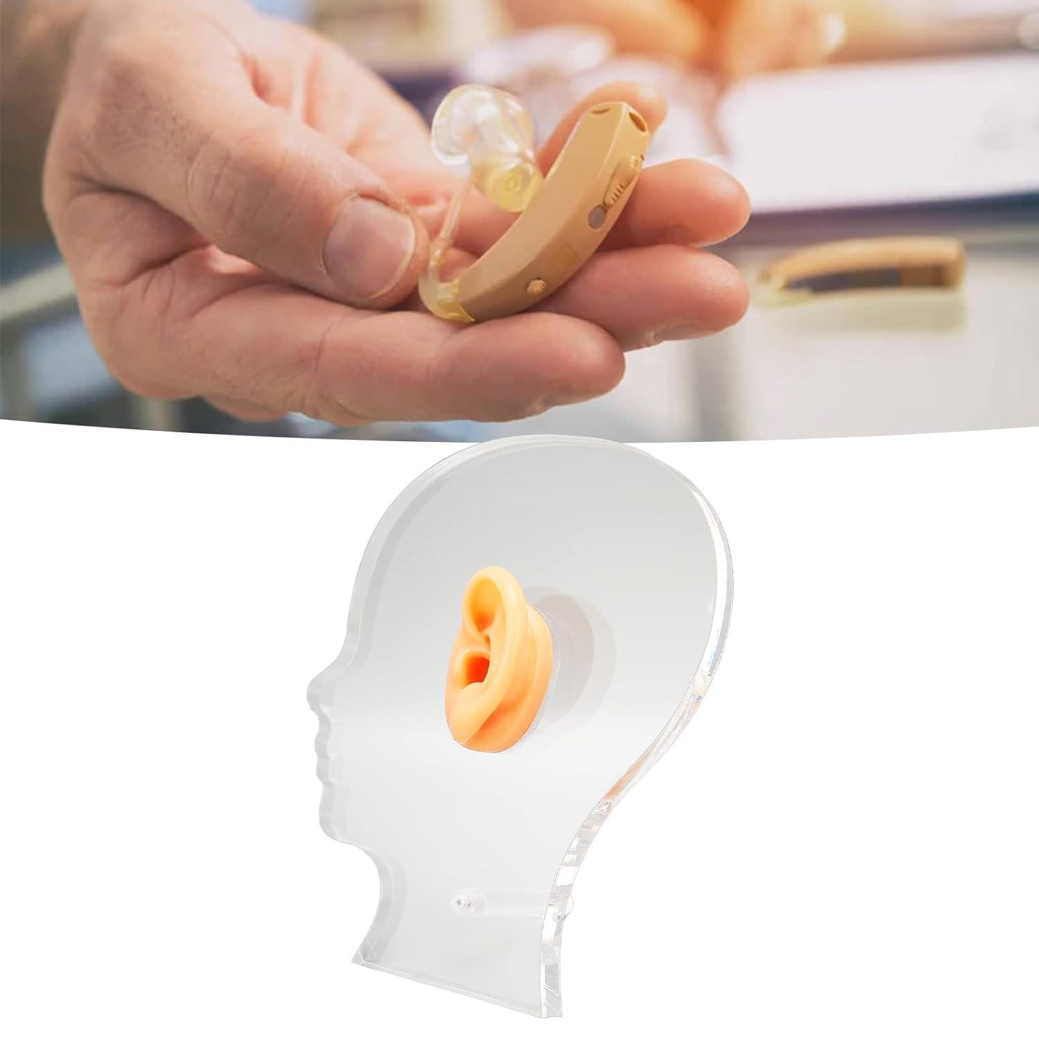 Ear Display Mold: Lifelike Silicone Ear Model with Acrylic Stand for ...
