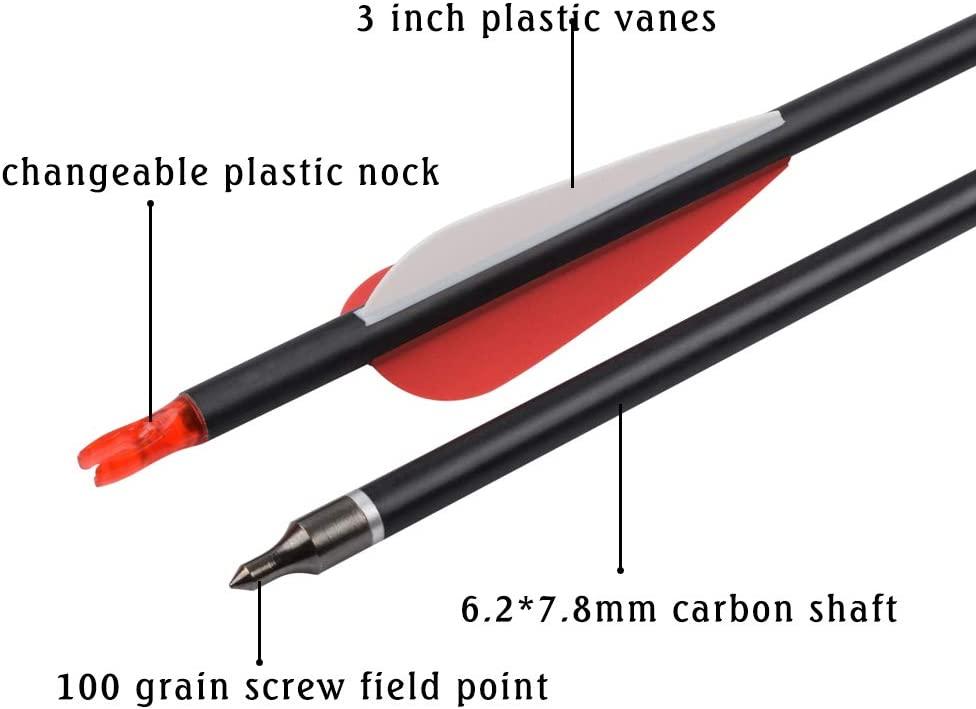 12 Pack 28 inch Carbon Arrow Hunting Arrows with 100 Grain Tips for ...