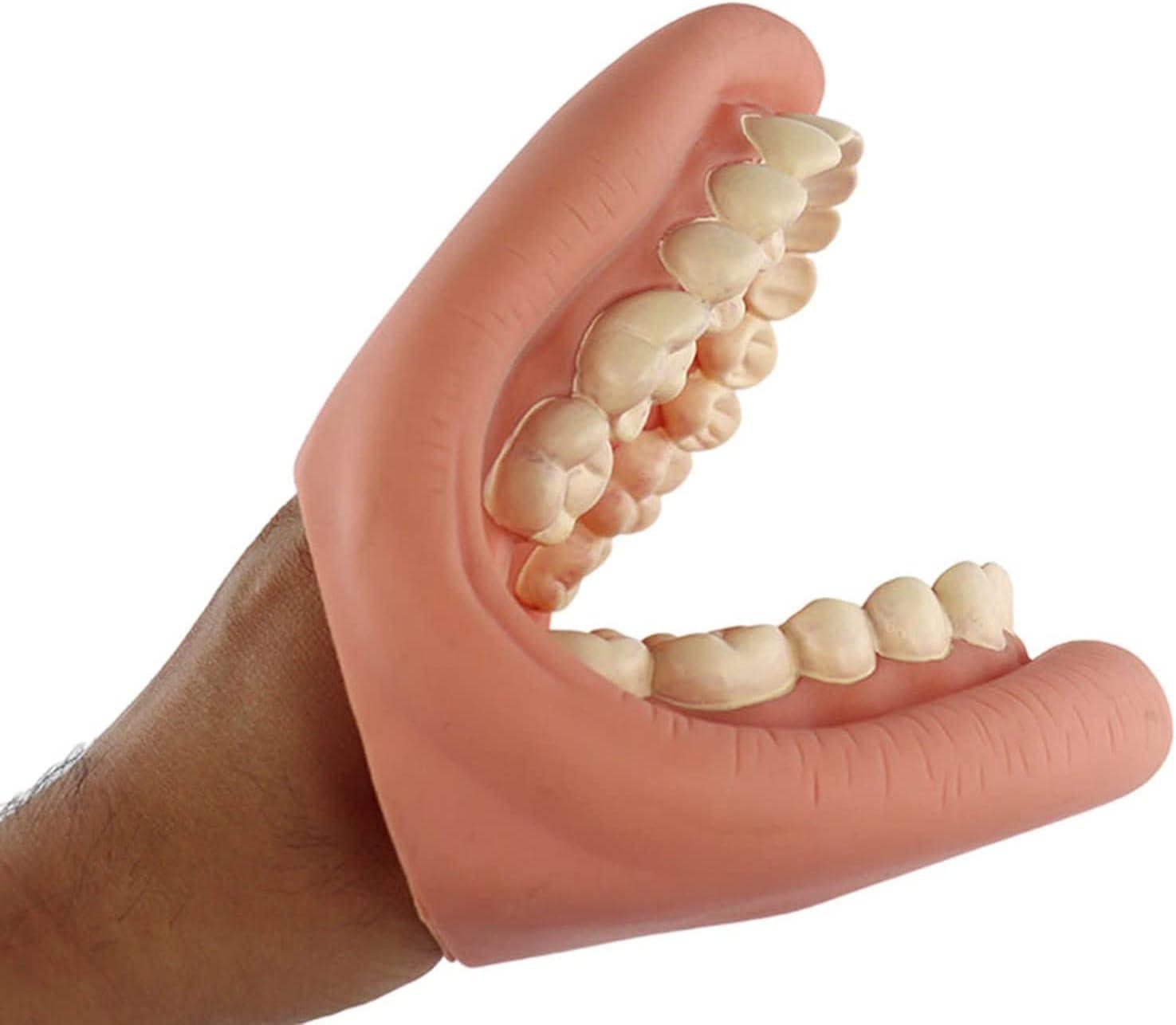 Uigjiog Junction Oral Hygiene Model - Portable Teaching Tool for ...
