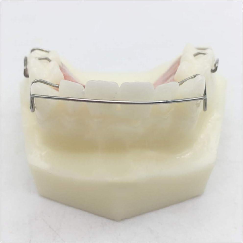 Fhuili Dental Teeth Model for Orthodontics Training - KFO Retainer ...