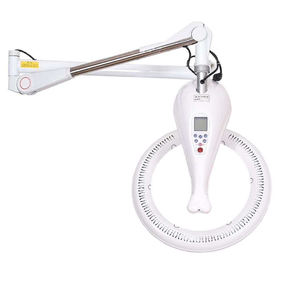 WFH Salon Hairdressing Heater Hair Dryer Steamer Wall-Mounted Standing ...