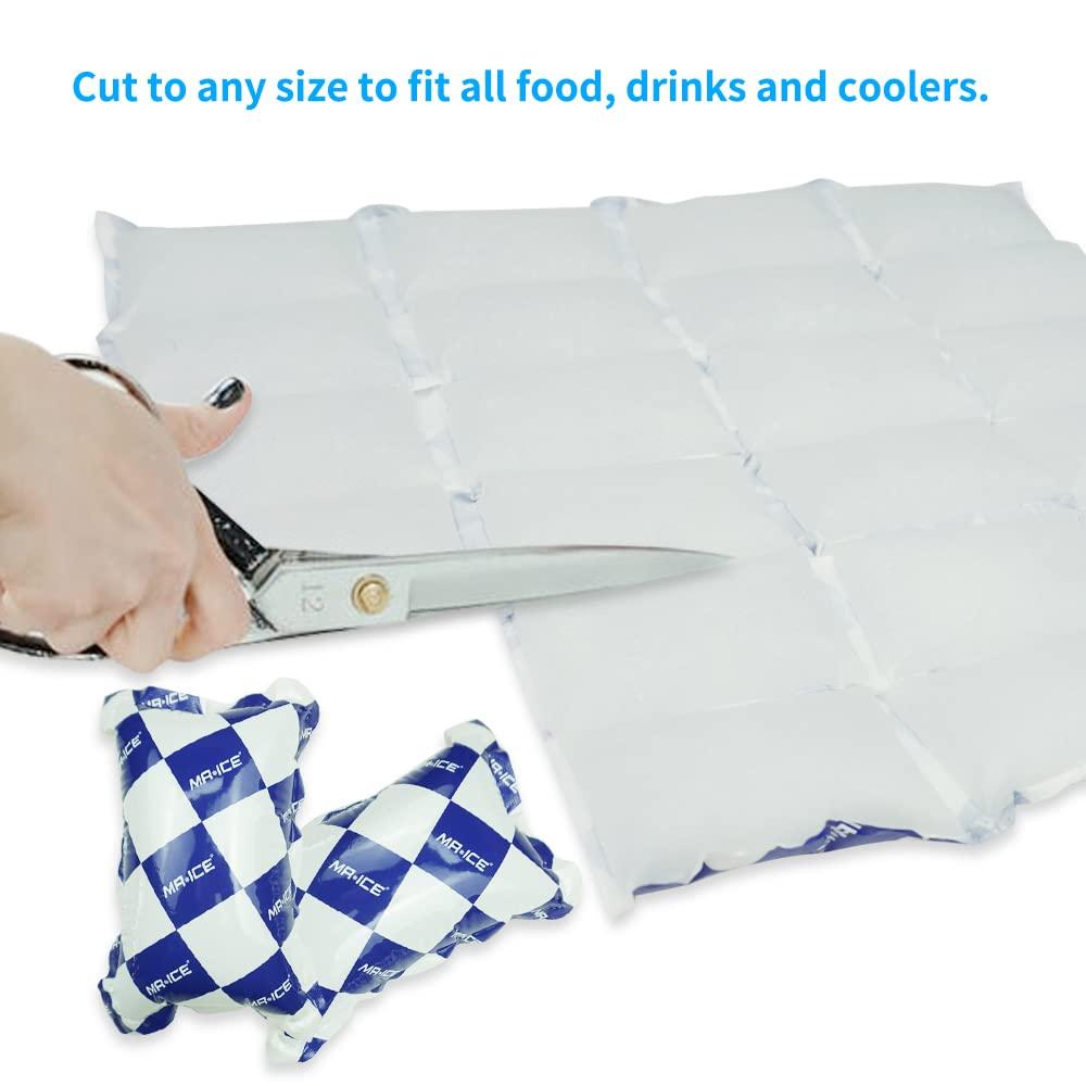 Dry Ice Packs for Shipping - Flexible Cold Packs for Frozen Food - Ice ...
