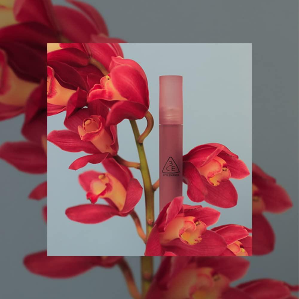 3CE Blur Water Tint (4.6g) - Blurry Finish Soft Lip Color - Double Wind ...